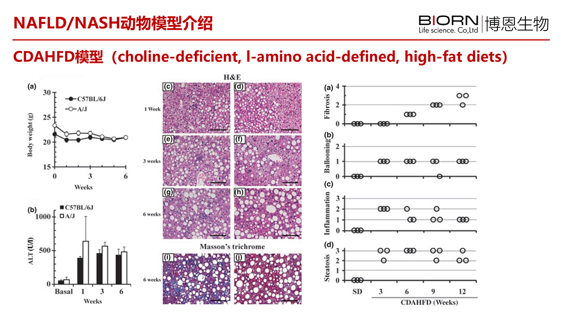 NAFLD/NASH模型介绍
