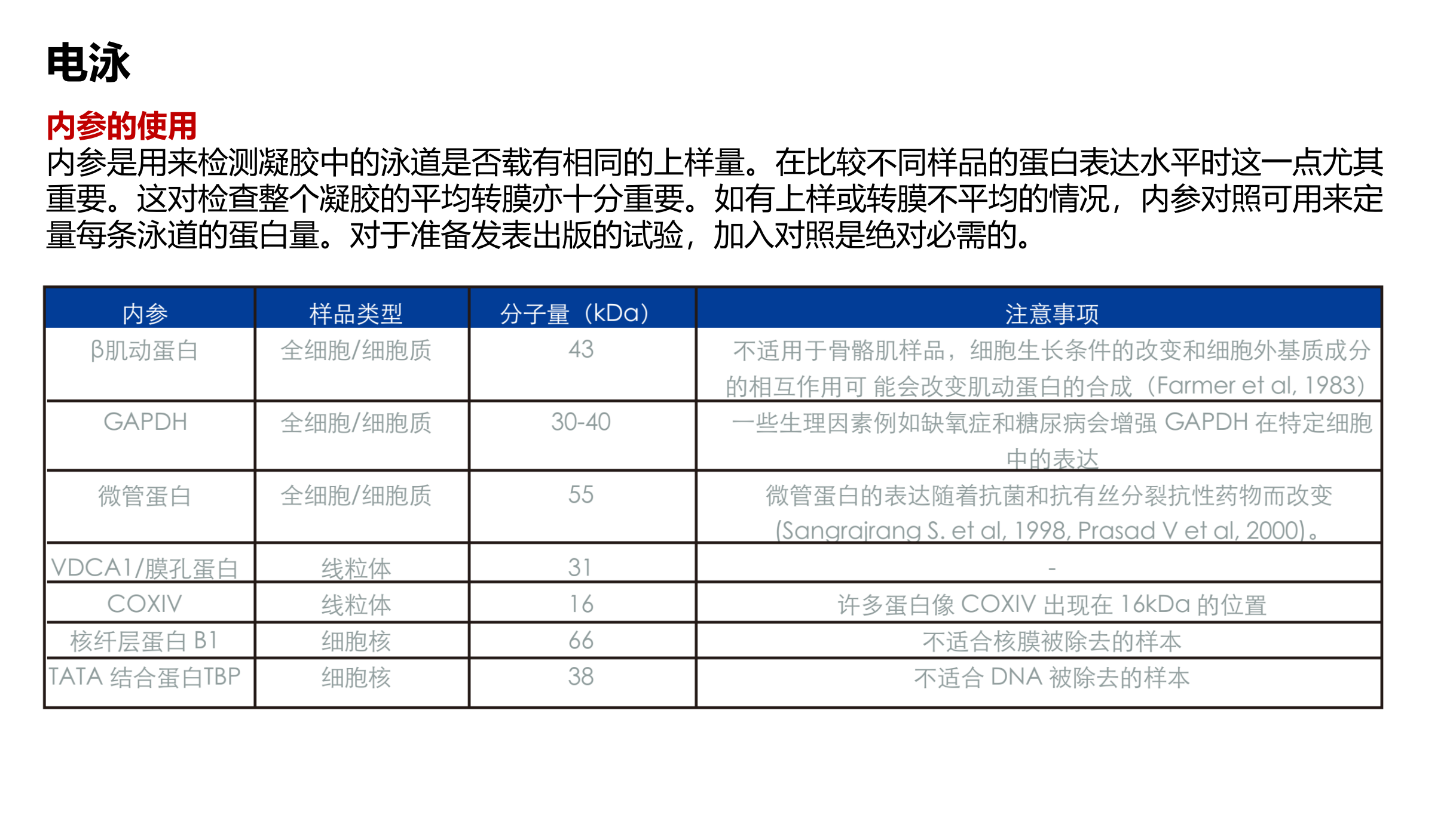 western blot