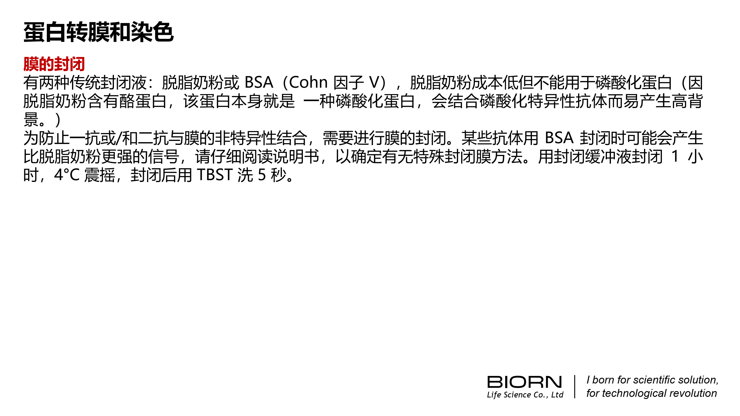 western blot